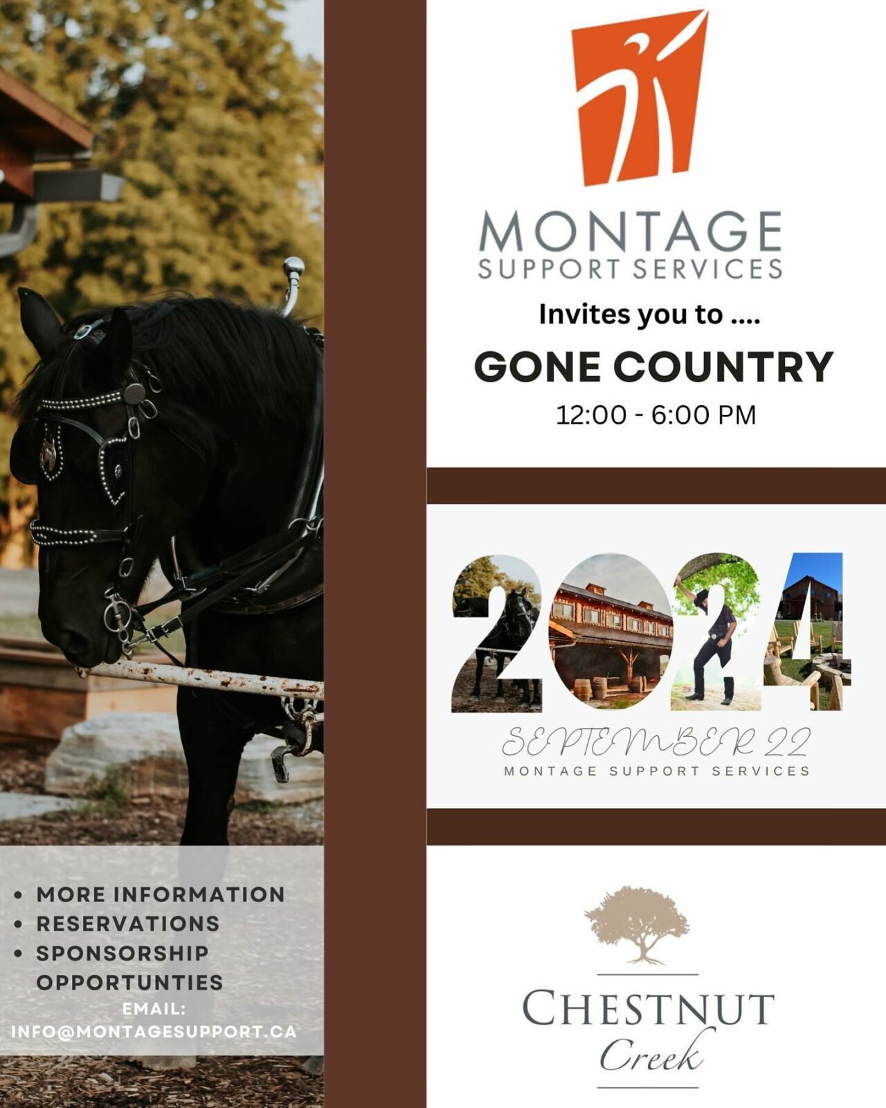 Montage Support Services
